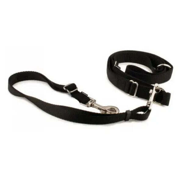 German Shepherd Shop - PETSAFE - Hands-Free Running/Walking Leash ...