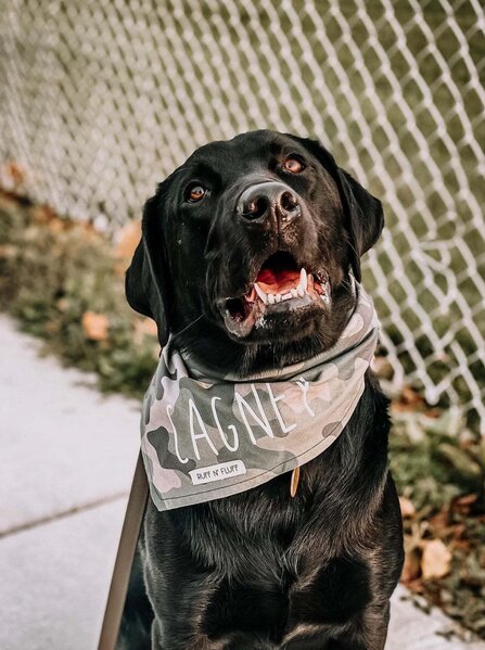 Ruff N’ Fluff Co. - Add Name Customization - Military & First Responder ...