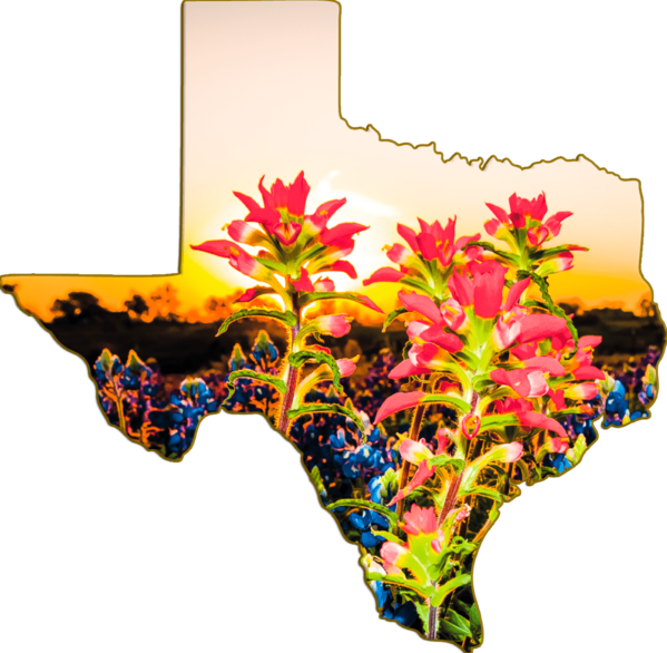 Wimberley Puzzle Company - Indian Paintbrush | Texas-Shaped Magnet ...