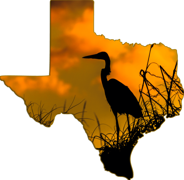 Wimberley Puzzle Company - Padre Island Great Blue Heron Sunset | Texas ...