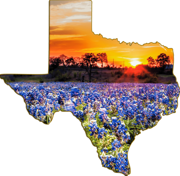 Wimberley Puzzle Company - Bluebonnet Sunset | Texas-Shaped Magnet ...