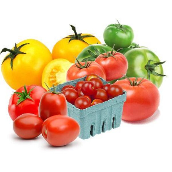 Heaven's Harvest Store - Tomato Lovers Seed Kit - Military & First ...