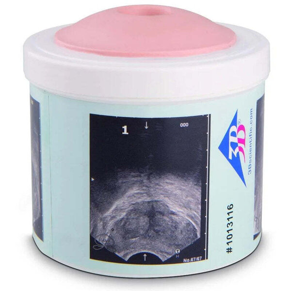 MediTac Kits - Simulaids Prostate Examination Trainer, 4 stages ...